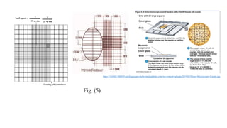 Direct microscope method | PDF