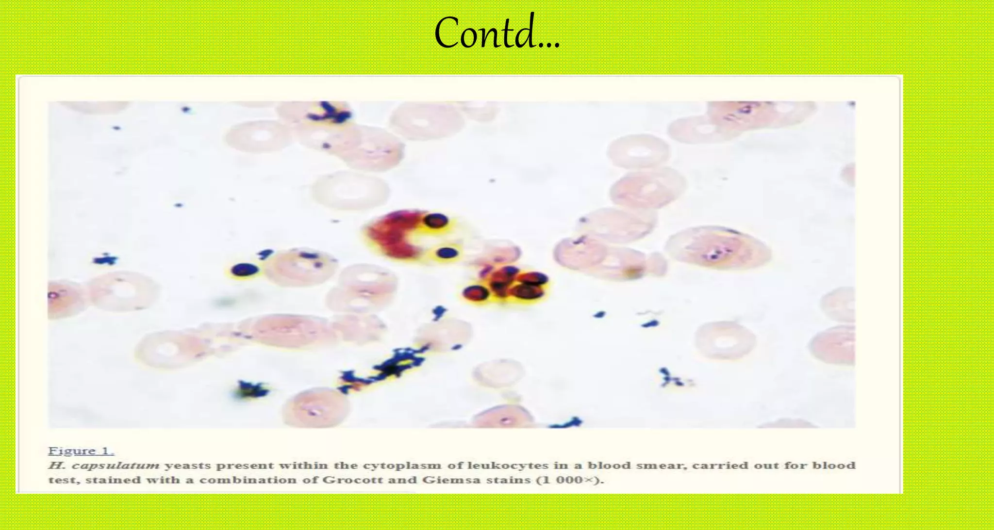 Direct microscopic examination | PPTX