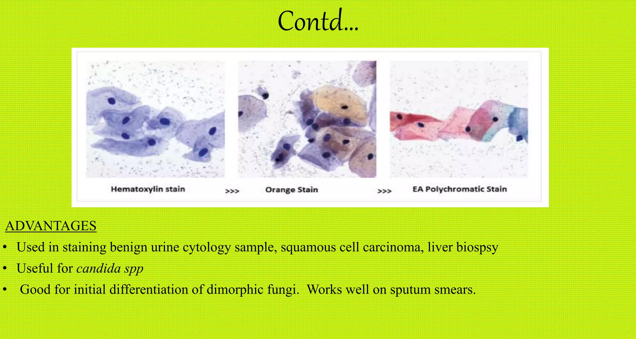 Direct microscopic examination | PPTX