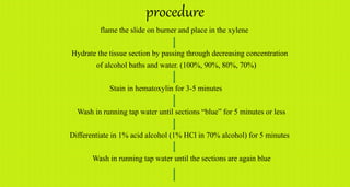 Direct microscopic examination | PPTX