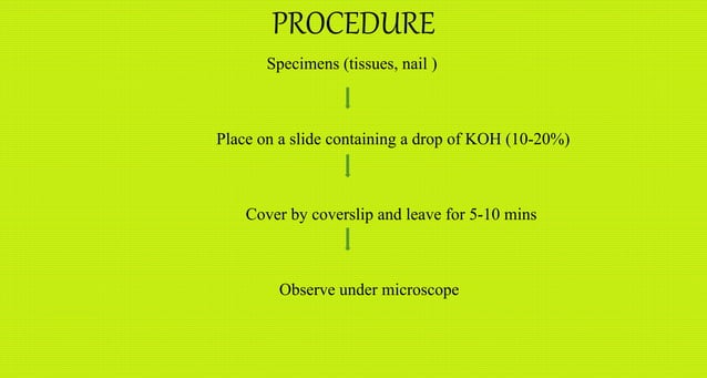 Direct microscopic examination | PPTX
