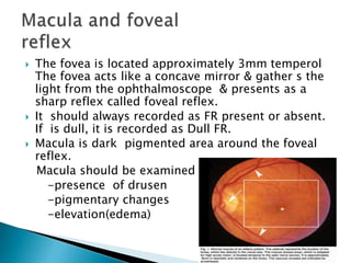 Direct ophthalmoscopy | PPTX