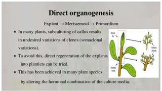 Organogenesis in tissue culture | PPTX