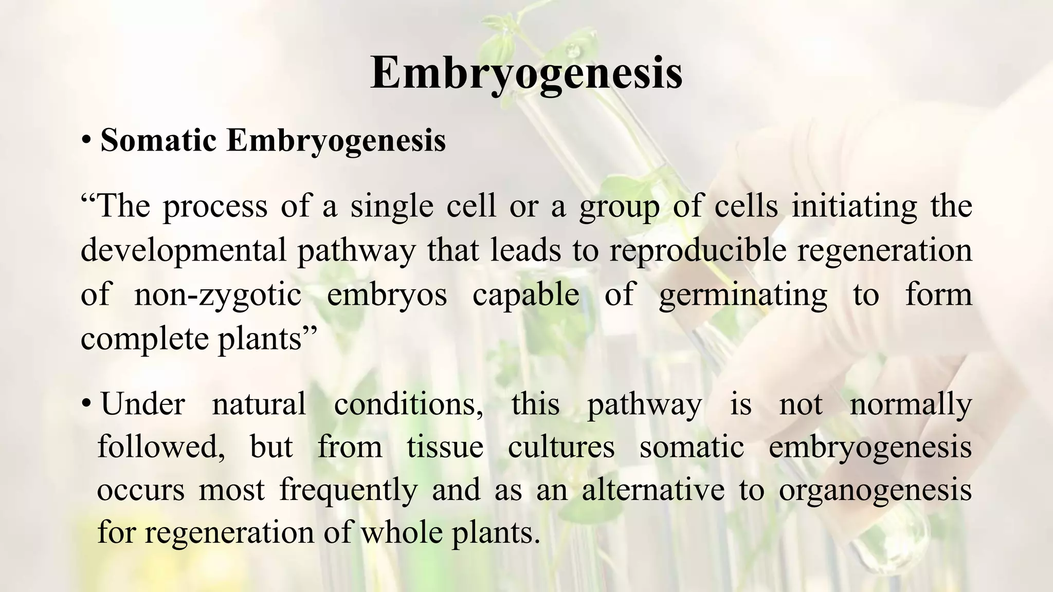 Direct organogenesis, embryogenesis, micro grafting, meristem culture ...
