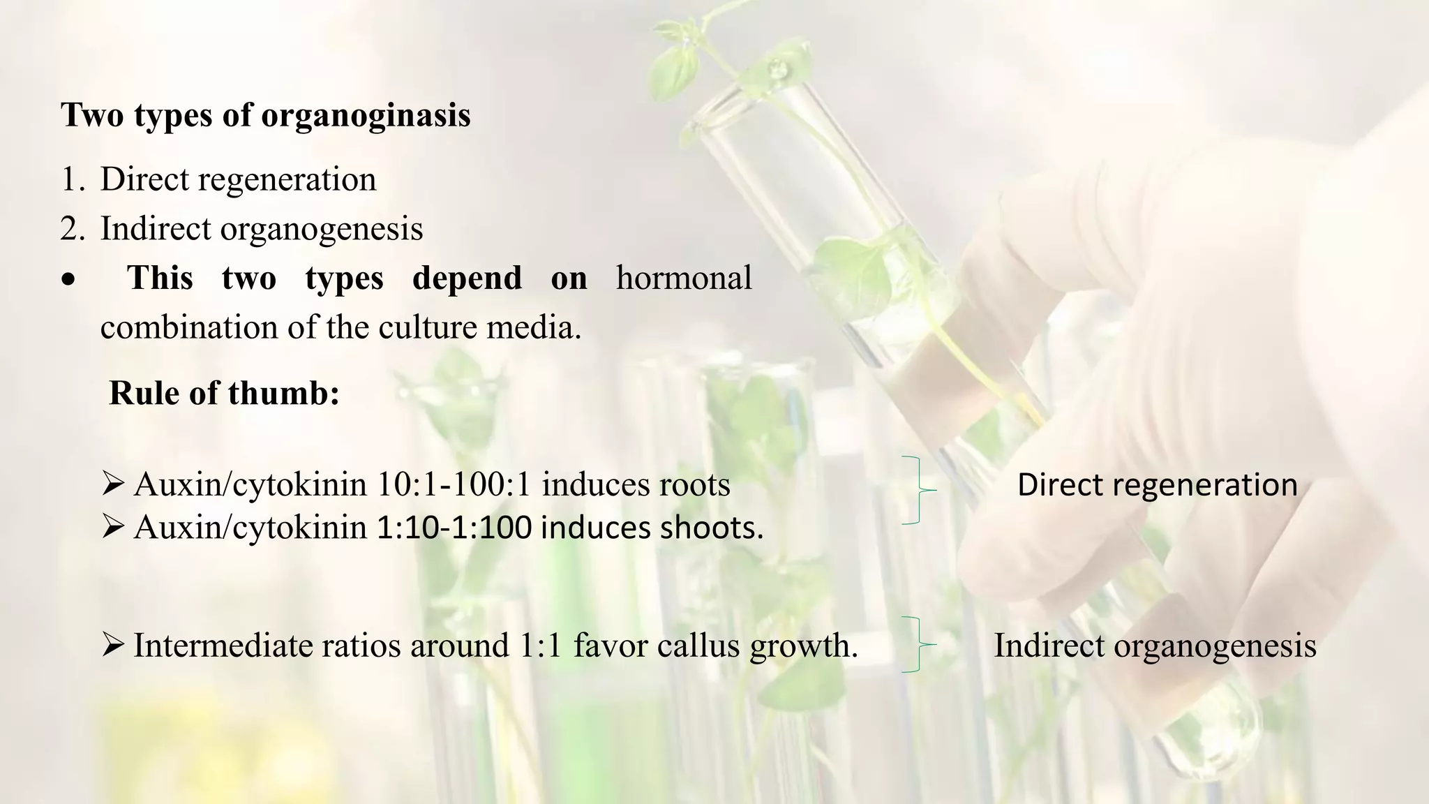 Direct organogenesis, embryogenesis, micro grafting, meristem culture ...