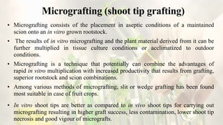 Direct organogenesis, embryogenesis, micro grafting, meristem culture ...