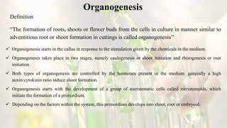 Direct organogenesis, embryogenesis, micro grafting, meristem culture ...