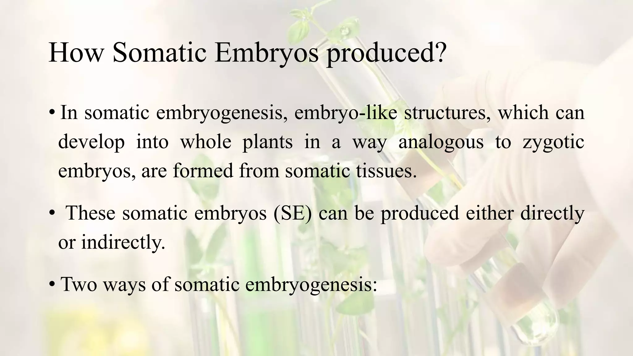 Direct organogenesis, embryogenesis, micro grafting, meristem culture ...