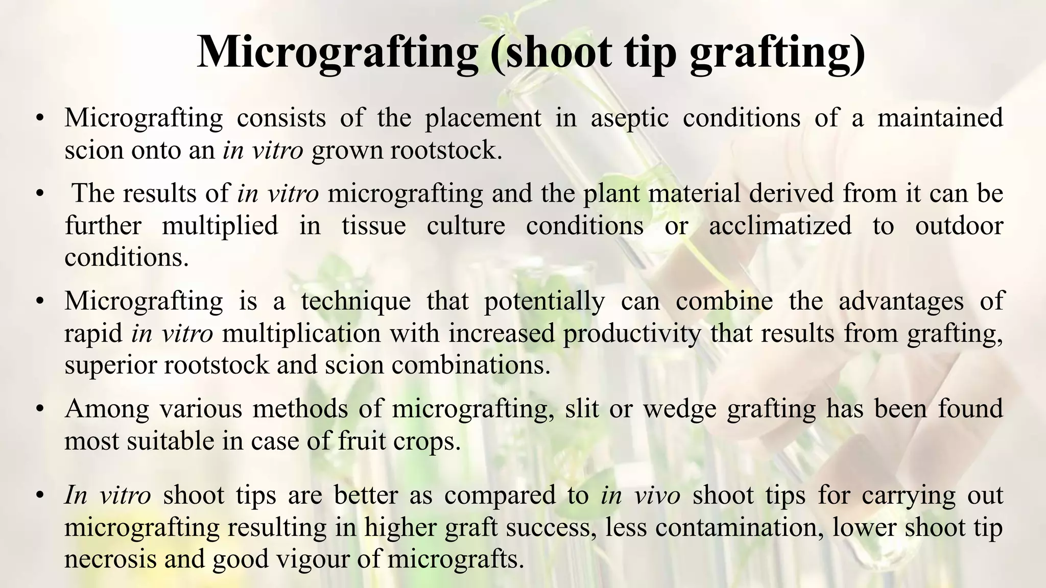 Direct organogenesis, embryogenesis, micro grafting, meristem culture ...