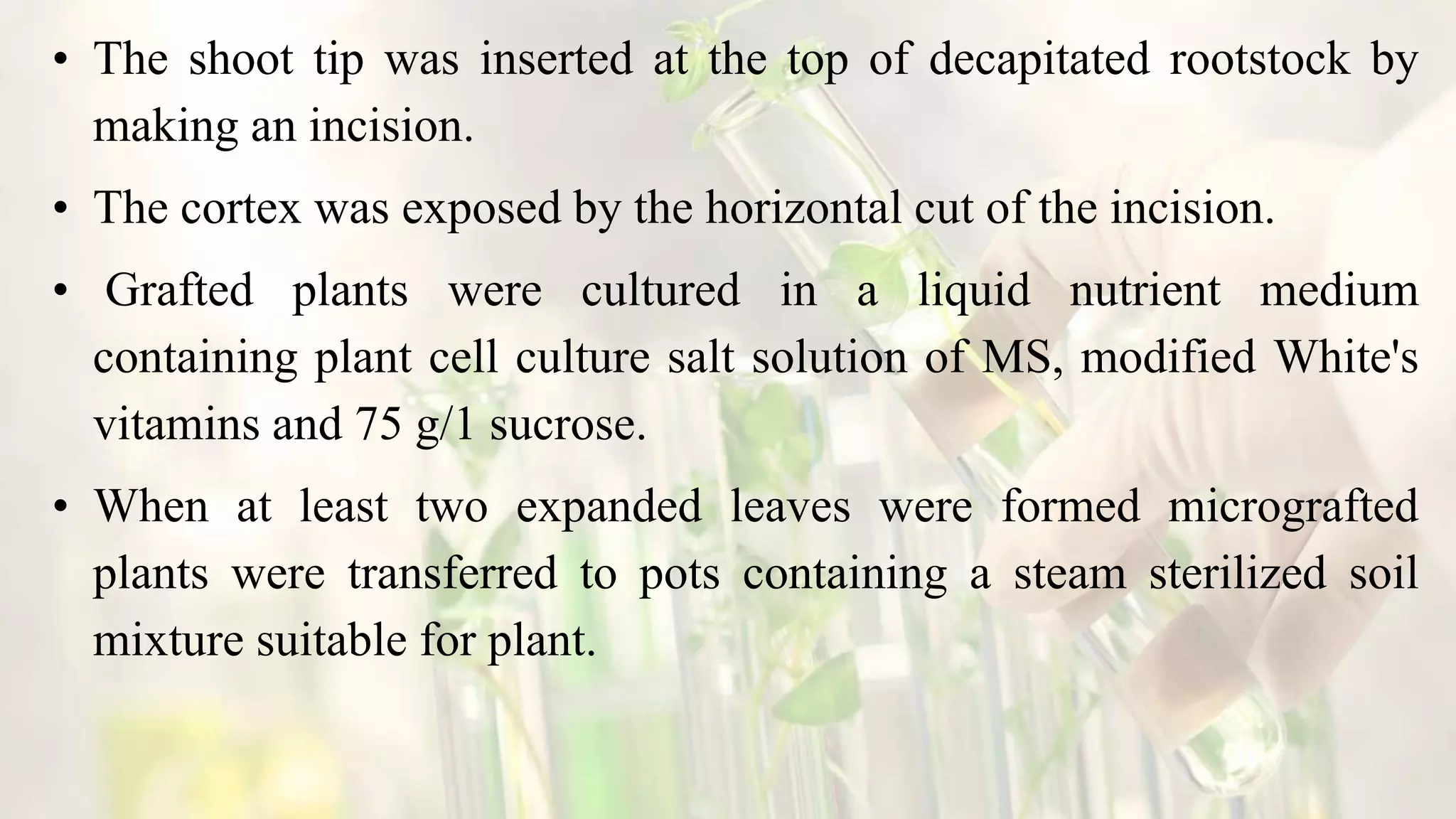 Direct organogenesis, embryogenesis, micro grafting, meristem culture ...