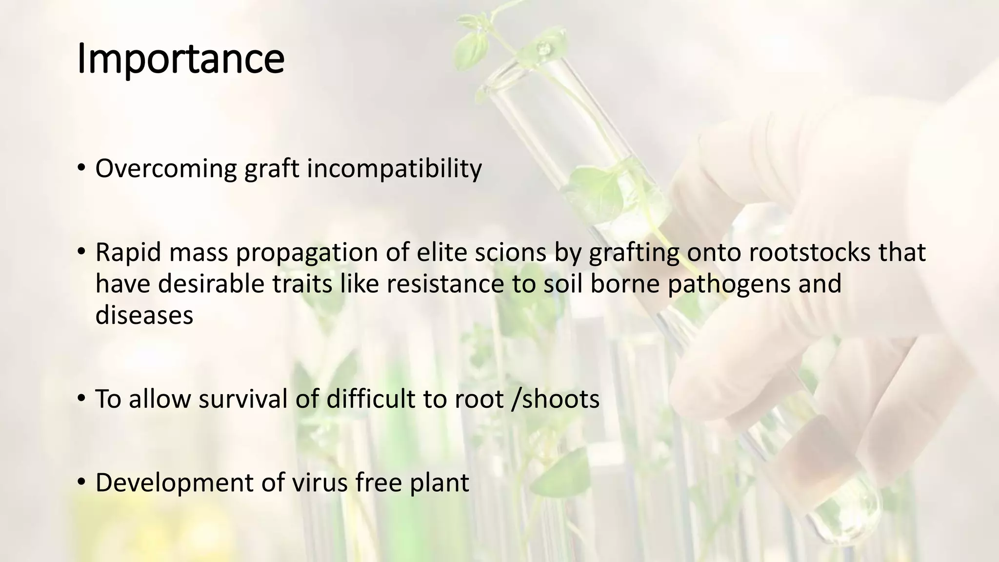 Direct organogenesis, embryogenesis, micro grafting, meristem culture ...