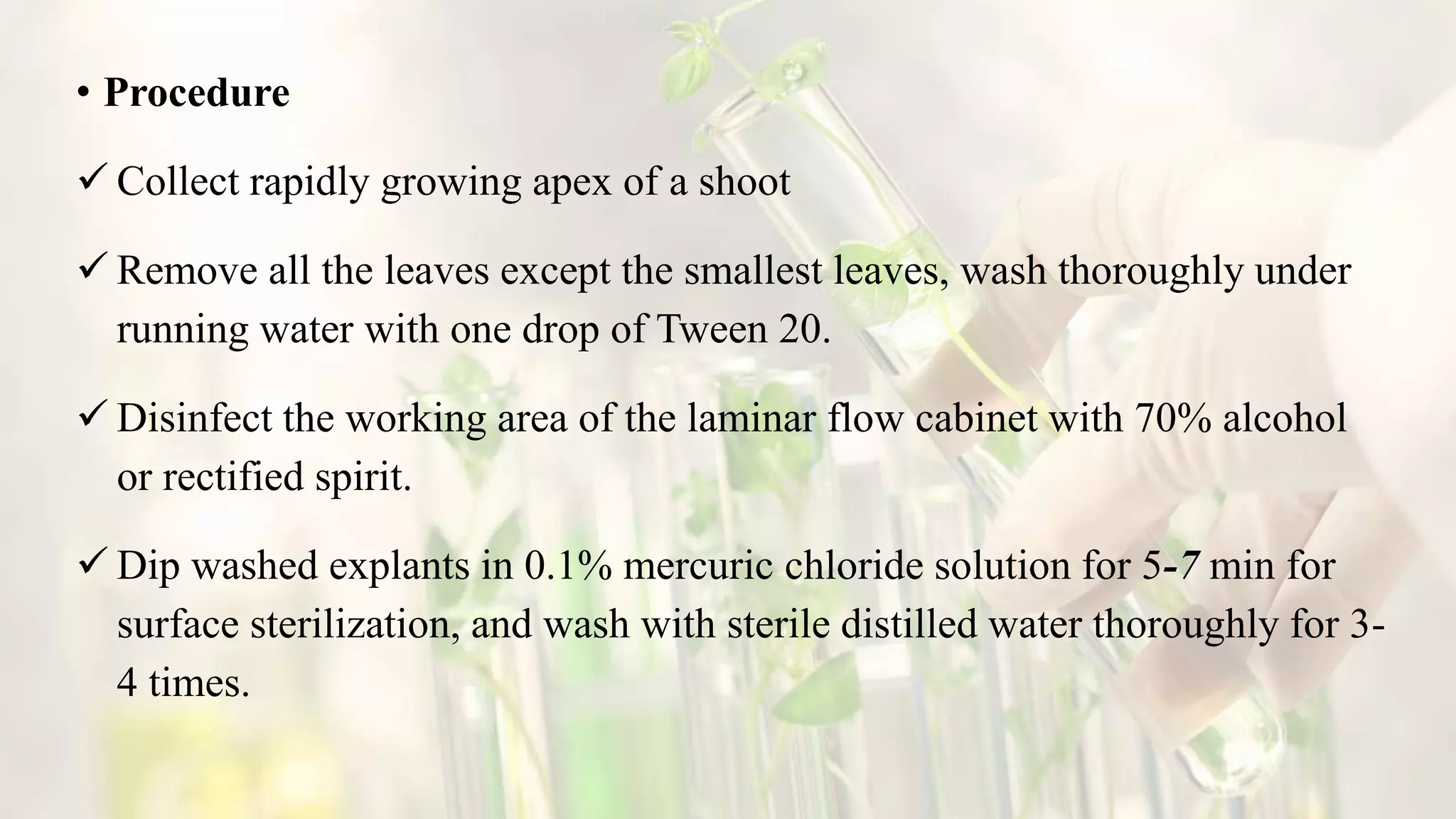 Direct organogenesis, embryogenesis, micro grafting, meristem culture ...