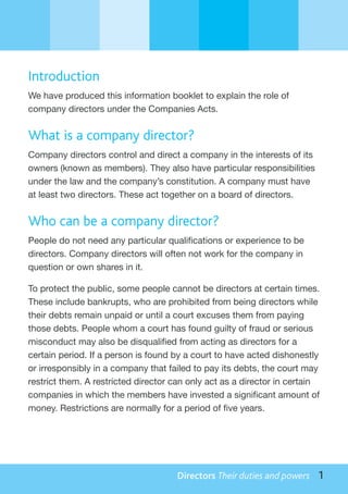 Directors Duties & Responsibilities | PDF
