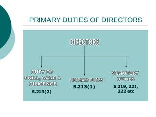 DIRECTORS' DUTIES (1).pdf