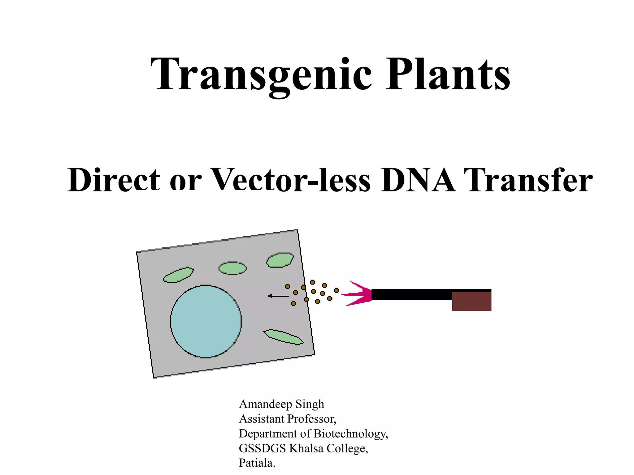 Direct or vector less dna transfer | PDF