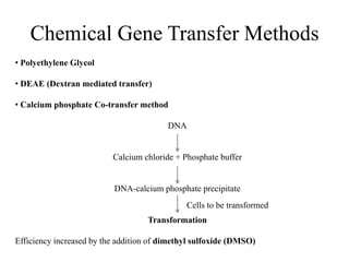 Direct or vector less dna transfer | PDF
