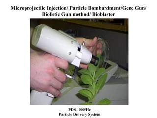 Direct or vector less dna transfer | PDF