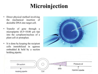 Direct or vector less dna transfer | PDF