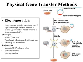 Direct or vector less dna transfer | PPT