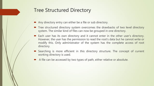 Directory structure | PPTX