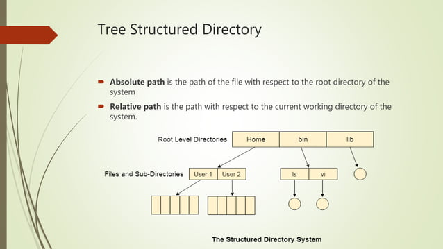 Directory structure | PPTX