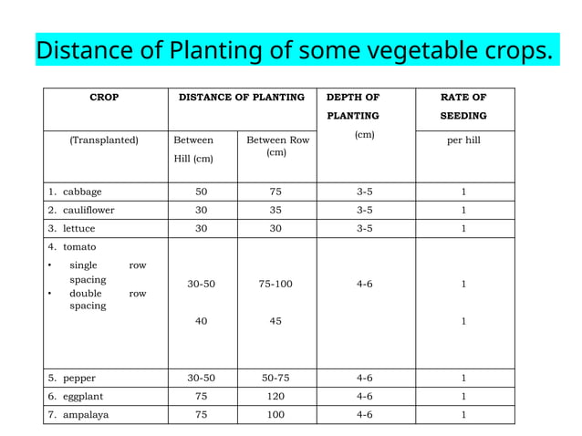 Direct_Planting_Vegetable_Crops_Presentation.pptx