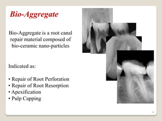 Direct pulp capping | PDF