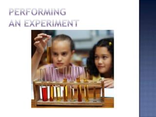 Direct, purposeful experiences | PPTX