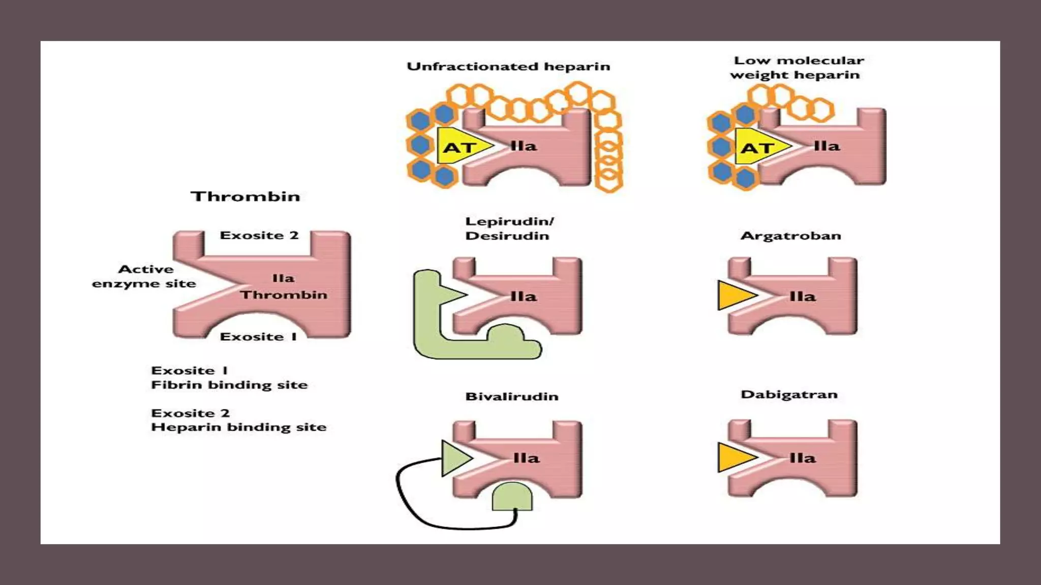 Direct thrombin inhibitors | PPTX