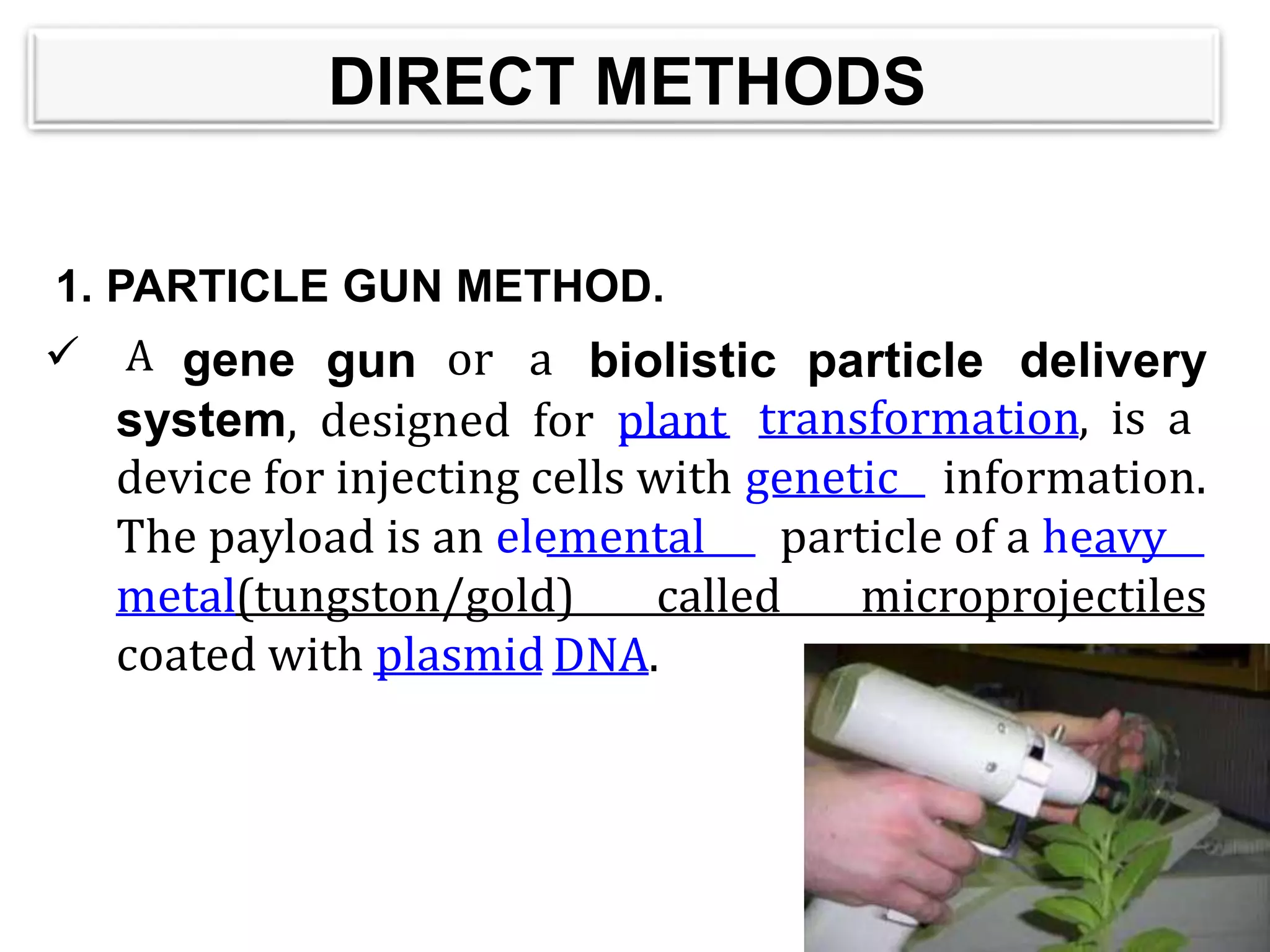 Direct transformation in plants | PPT