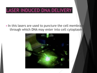 Direct transformation in plants | PPT