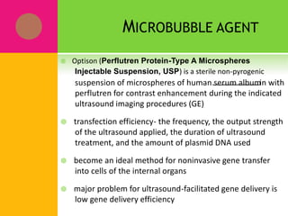 Direct transformation in plants | PPT