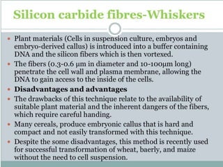 Direct transformation in plants | PPTX