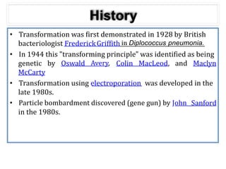 Direct transformation in plants | PPT