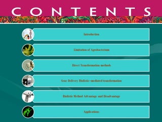 Direct transformation method | PPT