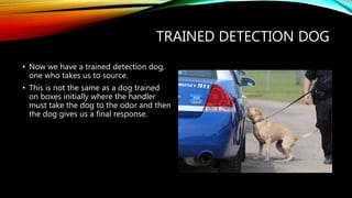 Direct vs Indirect Reward Protocols in Detection | PPTX