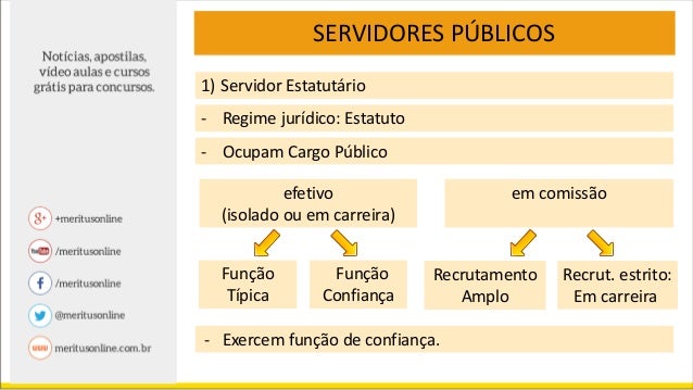 Direito Administrativo - Classificação dos Servidores Públicos