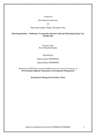 Village immersion report final. | PDF