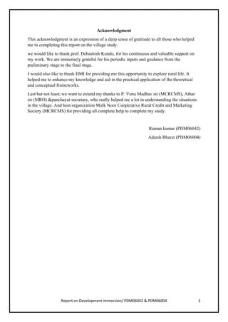 Village immersion report final. | PDF