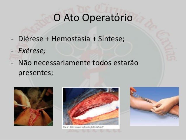Diérese, hemostasia e síntese