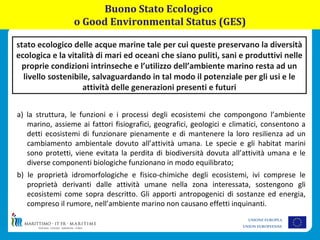 Direttiva quadro sulla strategia per l’ambiente marino | PPT