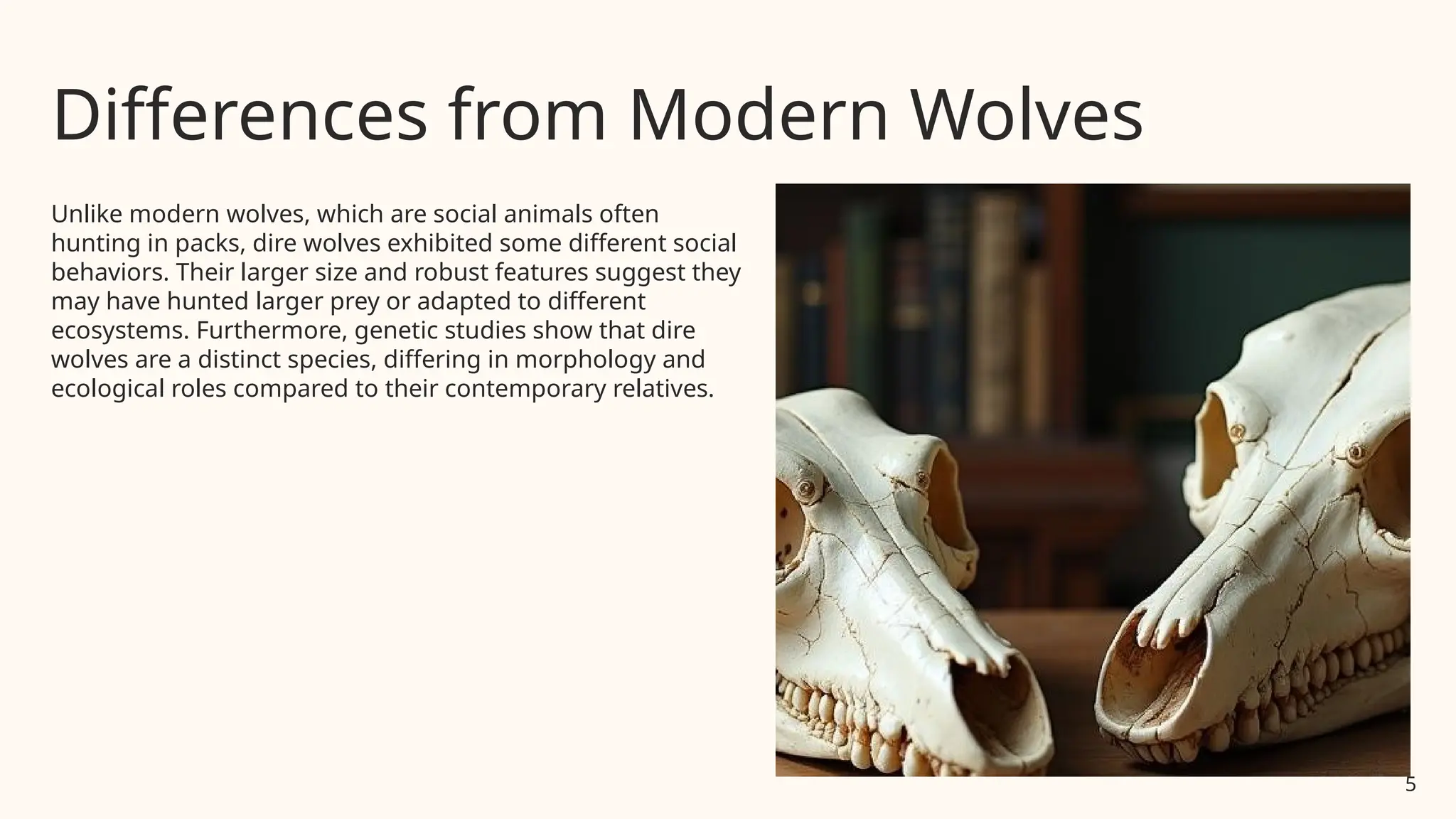 Dire Wolves extinction to de - extinction | PPTX