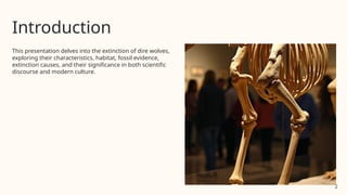 Dire Wolves extinction to de - extinction | PPTX