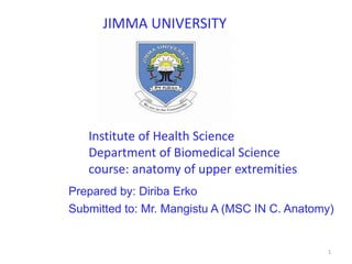 Introduction to human anatomy for ms student | PPTX