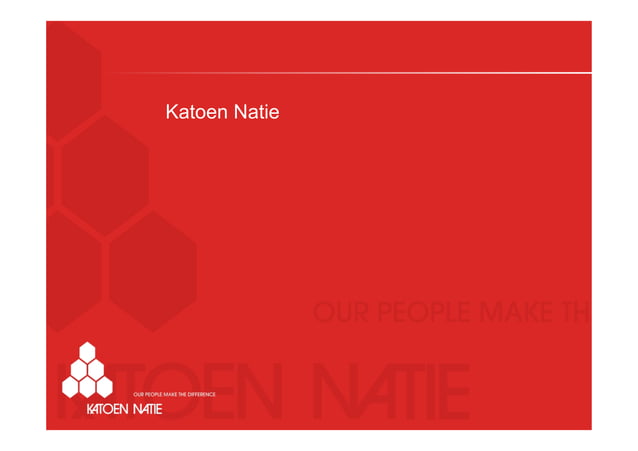 Dirk lannoo vice-president - katoen natie strategy of katoen natie | PDF