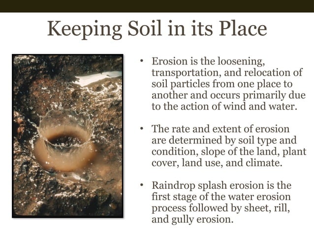 Soil Science Dirt, secrets in the soil, learn | PPTX