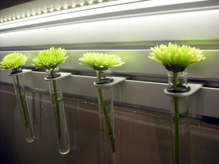 Dirtt Accessories Slideshow | PPT