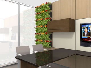 Dirtt Accessories Slideshow | PPT