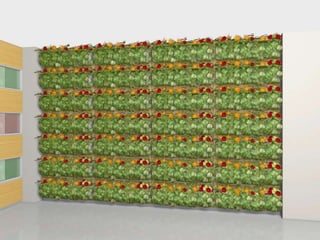 Dirtt Accessories Slideshow | PPT