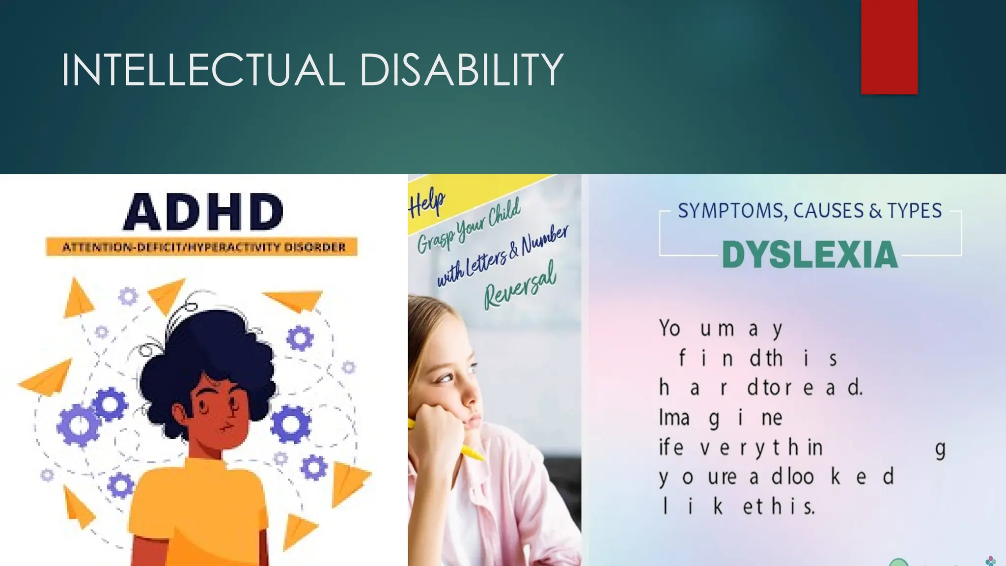 DISABILITY COMPETENCIES for mbbs nmc.pptx